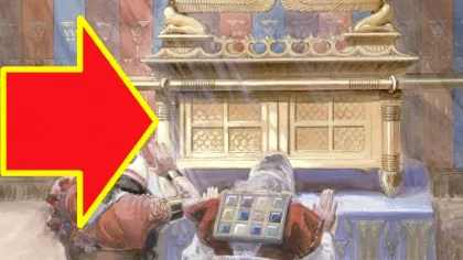 Ai alunite rosii? Ce sunt si de ce apar. Tot ce trebuie sa stii despre ele